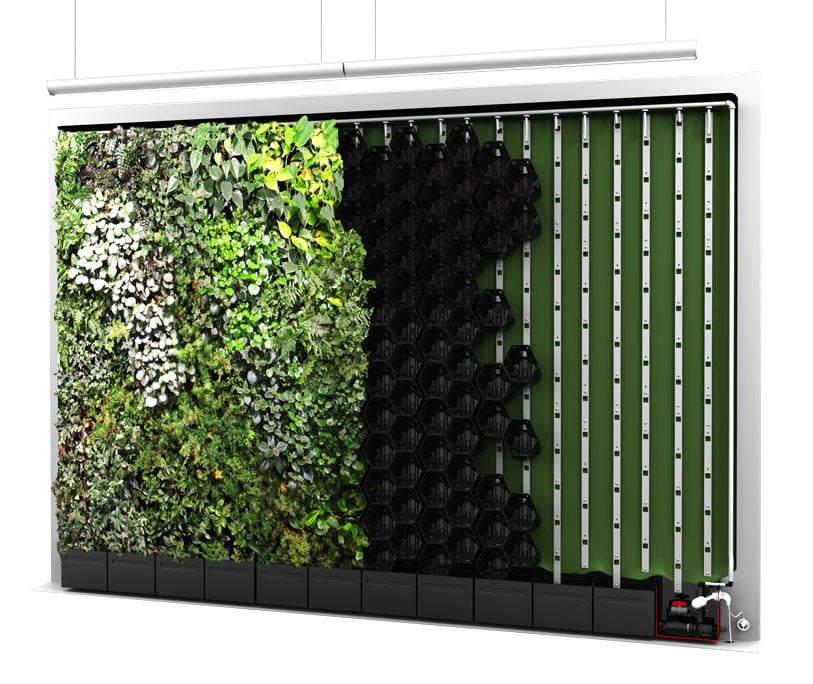 Budget Savvy: A Greenwall For Your Office Redesign [UPDATE]